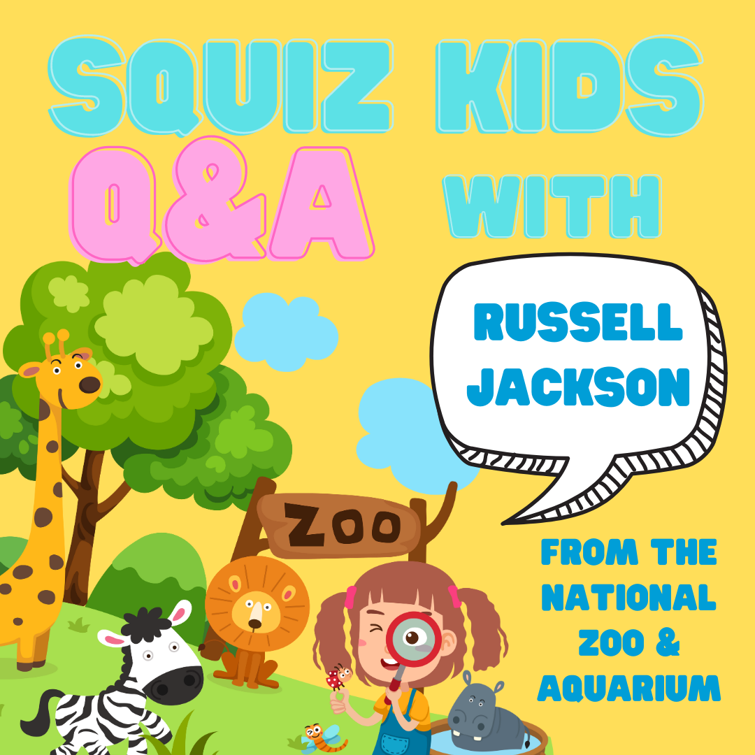 Squiz Kids Q+A with zookeeper Russell Jackson from the National Zoo and Aquarium - Squiz Kids
