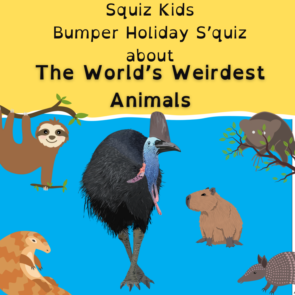 Squiz Kids Podcasts