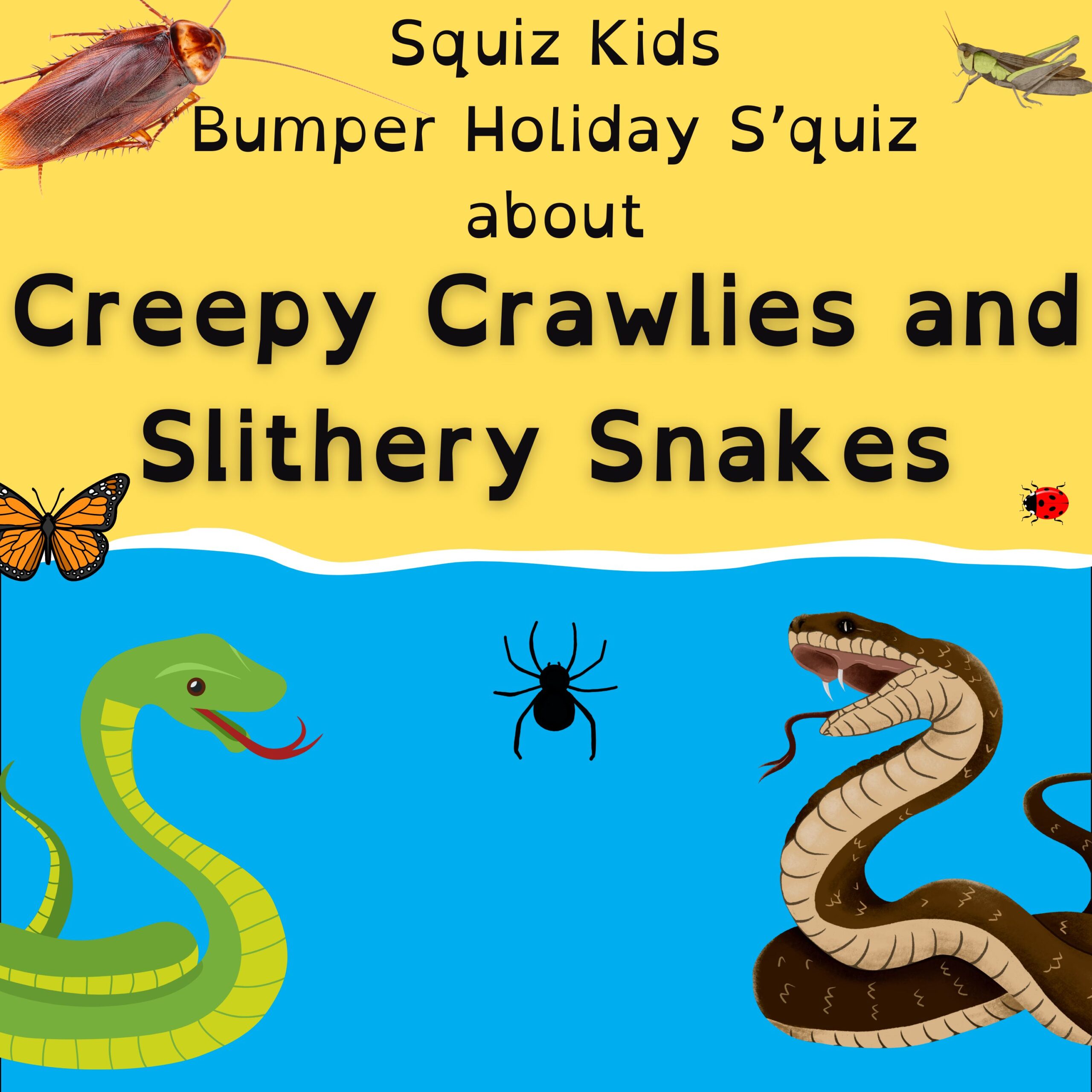 Bumper Holiday S'Quiz: Creepy Crawlies and Slithery Snakes