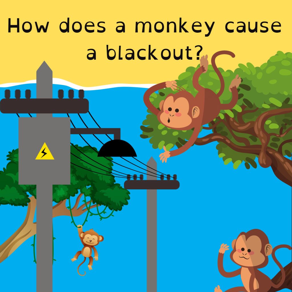 Squiz Kids Podcast Archive